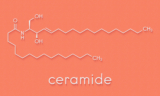 Ceramidi: cosa sono e perché sono importanti nella skincare