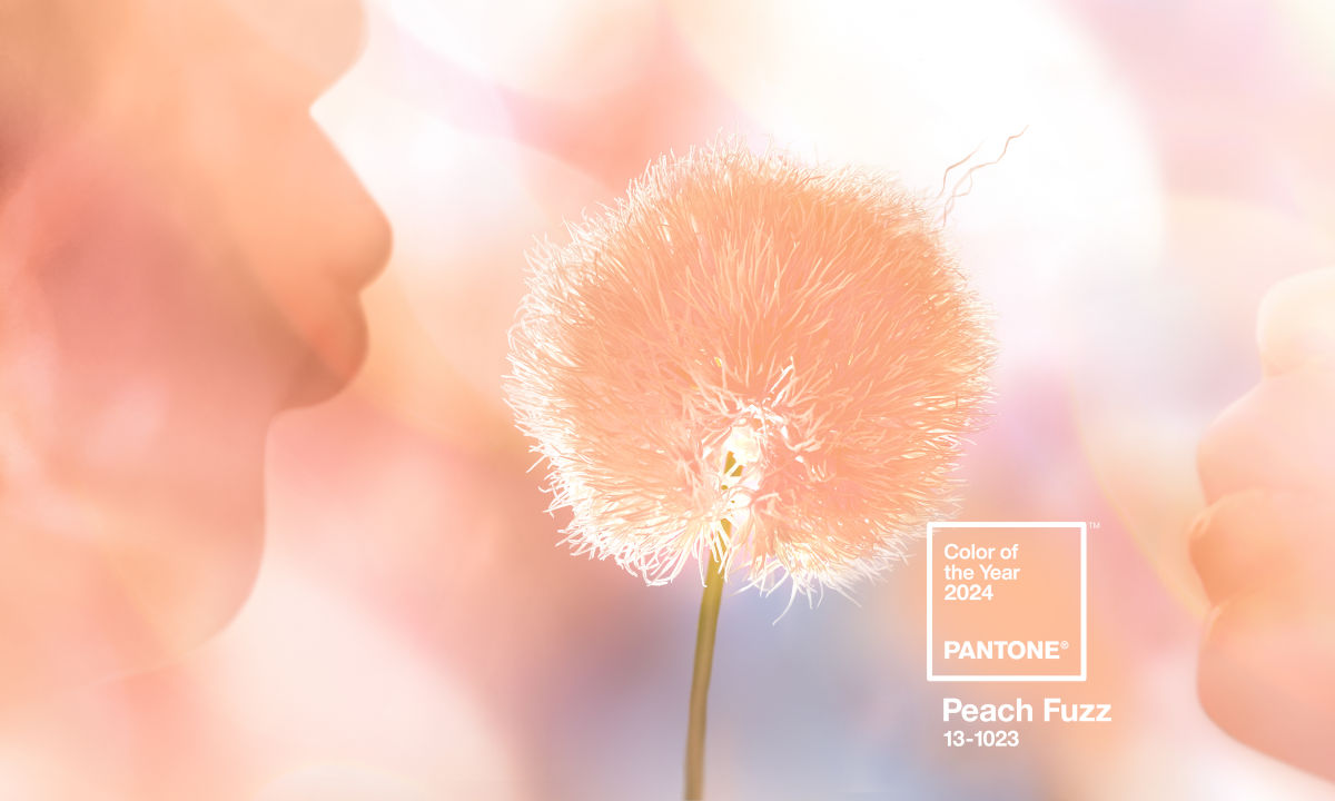 Colore Pantone 2024 è Peach Fuzz, color pesca - Beautydea